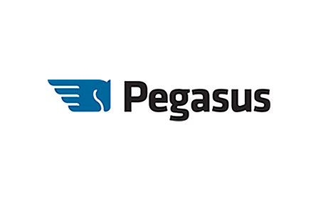 ProTech-Solutions Acquires Pegasus Testing and Inspection Services ...